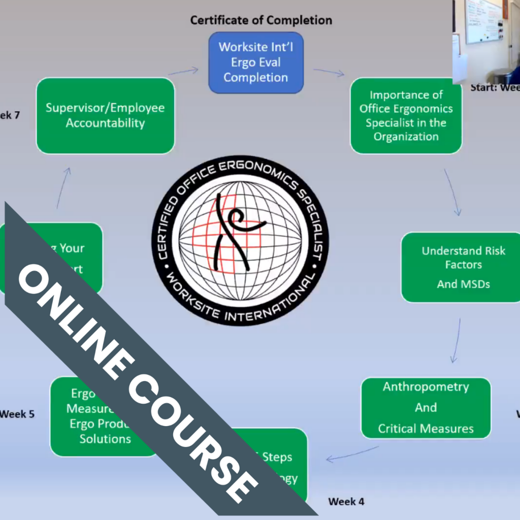Train The Ergonomics Evaluator Posture Stars train-the-ergonomics-evaluator-posture-stars
